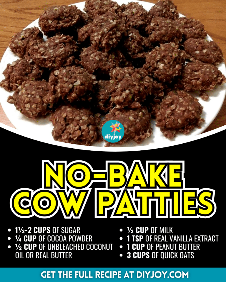 Easy No-Bake Cow Patties Recipe - DIY Joy