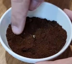 How to Burn Coffee Grounds to Get Rid of Mosquitoes - DIY Joy