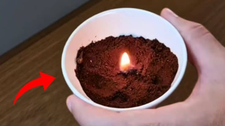 How to Burn Coffee Grounds to Get Rid of Mosquitoes - DIY Joy