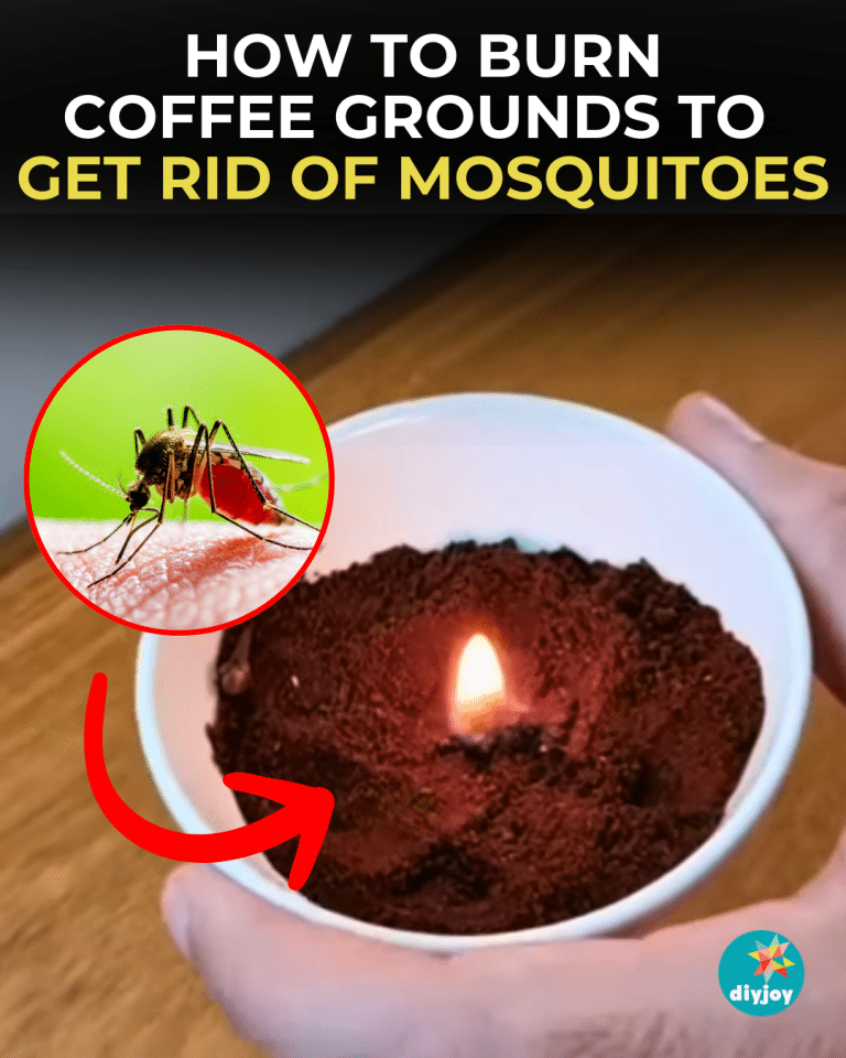 How to Burn Coffee Grounds to Get Rid of Mosquitoes