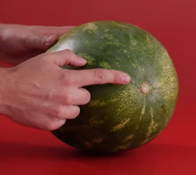 How to Pick the Best Watermelon Every Time - DIY Joy