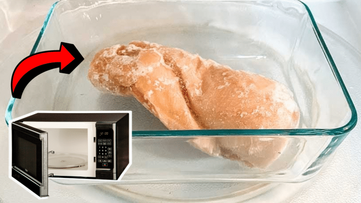 How to Thaw Chicken in the Microwave - DIY Joy