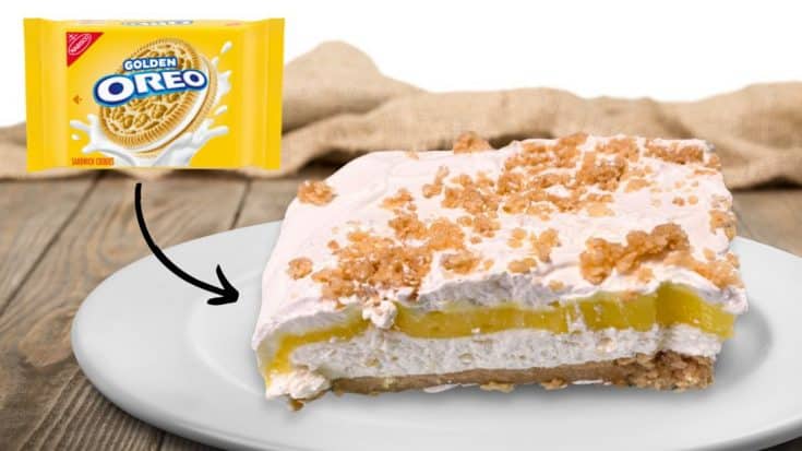 No-Bake Oreo Lemon Dessert - DIY Joy