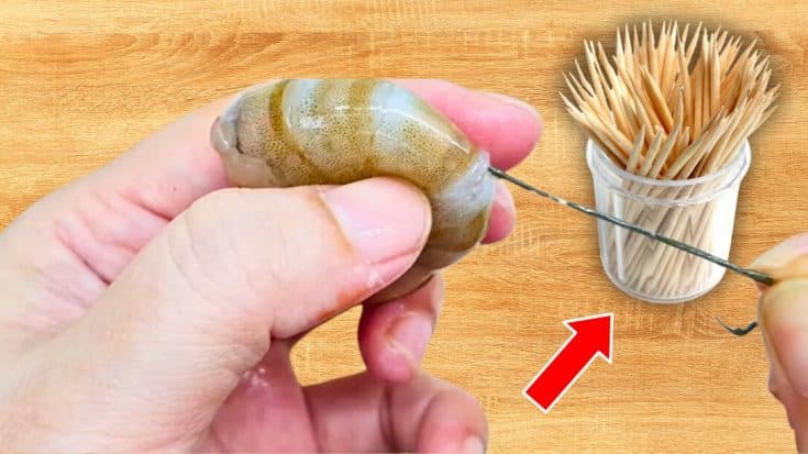 Quick and Easy Way to Devein Shrimp Using a Toothpick - DIY Joy