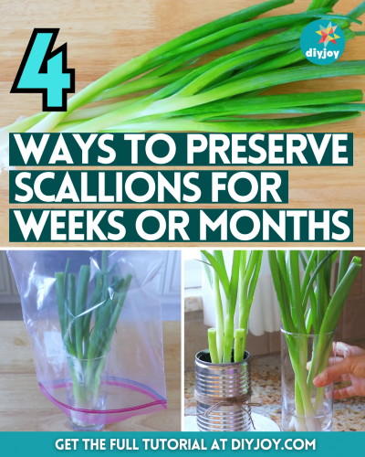 4 Ways to Preserve Scallions for Weeks or Months - DIY Joy