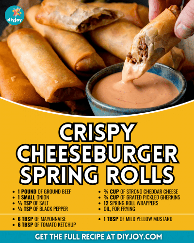 Crispy Cheeseburger Spring Rolls Recipe - DIY Joy