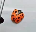 How to Make Ladybugs Using Plastic Spoons - DIY Joy
