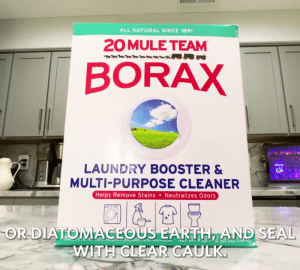 Easy Homemade Non-Toxic Ant Killer Tutorial - DIY Joy