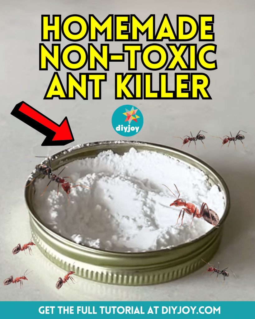 Easy Homemade Non-Toxic Ant Killer Tutorial - DIY Joy
