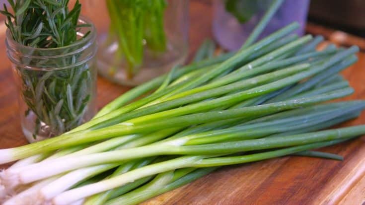 How to Keep Scallions Fresh For a Month in the Fridge - DIY Joy
