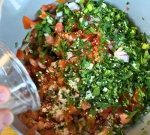 Chipotle Mild Tomato Salsa Copycat Recipe - DIY Joy