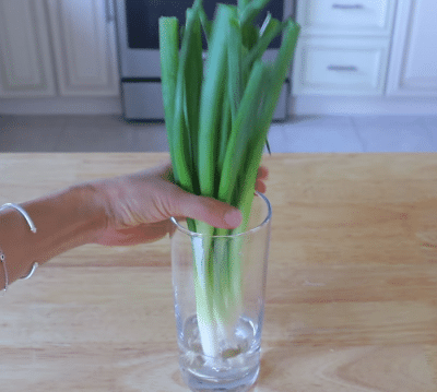 4 Ways to Preserve Scallions for Weeks or Months - DIY Joy