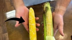 Quick Way to Remove Corn Silk - DIY Joy