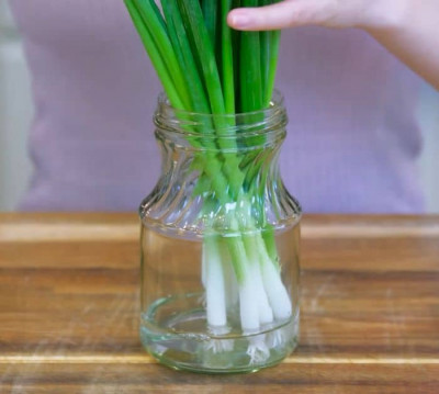 How to Keep Scallions Fresh For a Month in the Fridge - DIY Joy