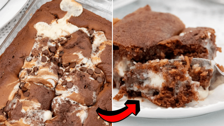 The Easiest Earthquake Cake Recipe - DIY Joy
