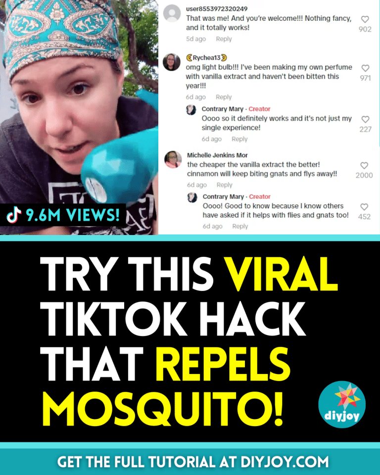 Try This Viral TikTok Hack That Repels Mosquito! - DIY Joy