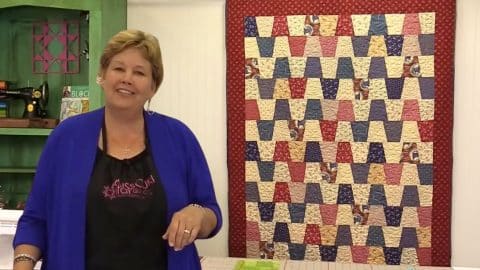 Tumbler Chevron Quilt With Jenny Doan - DIY Joy
