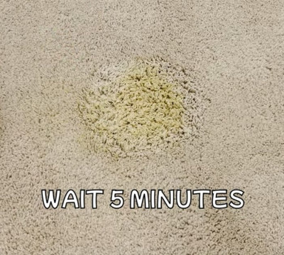 How to Remove Set-In Urine Stains From Carpet - DIY Joy