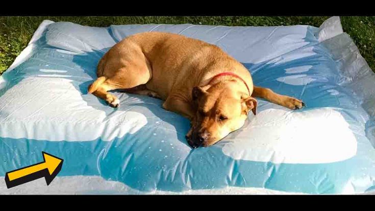 DIY Giant Water Blob Tutorial - DIY Joy