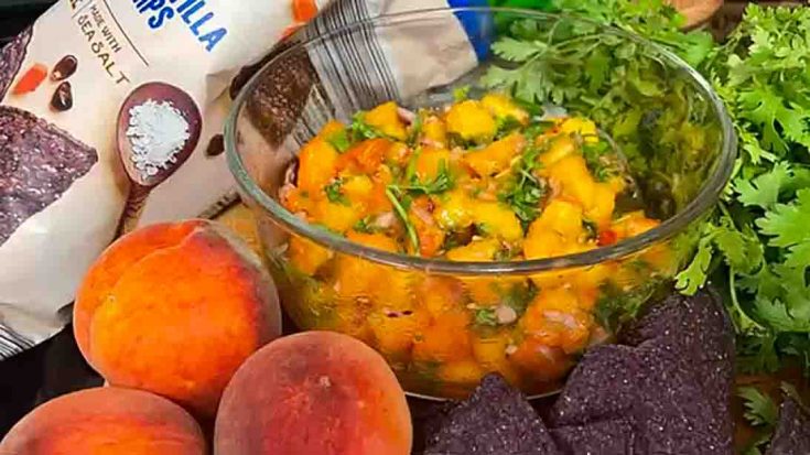 Easy Peach Salsa Recipe - DIY Joy