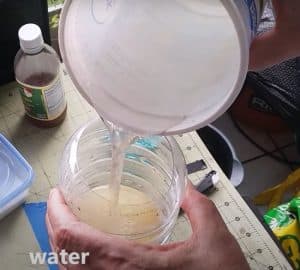How to Make Gnat Traps - DIY Joy
