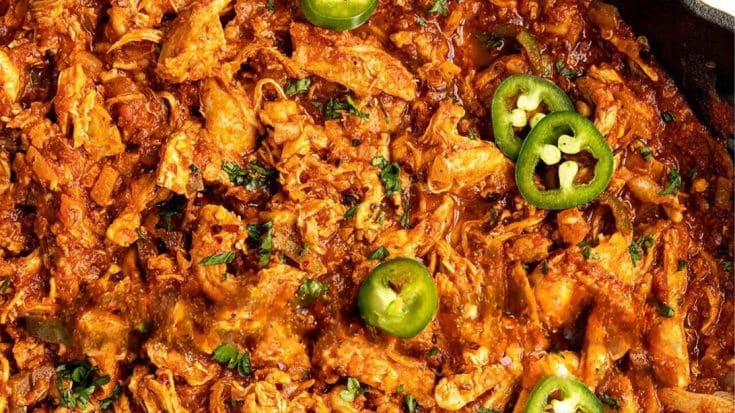 Copycat Chipotle Spicy Shredded Chicken Recipe - DIY Joy