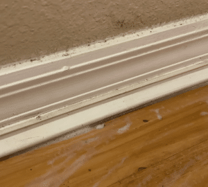 How to Clean Baseboards Without Bending Over - DIY Joy