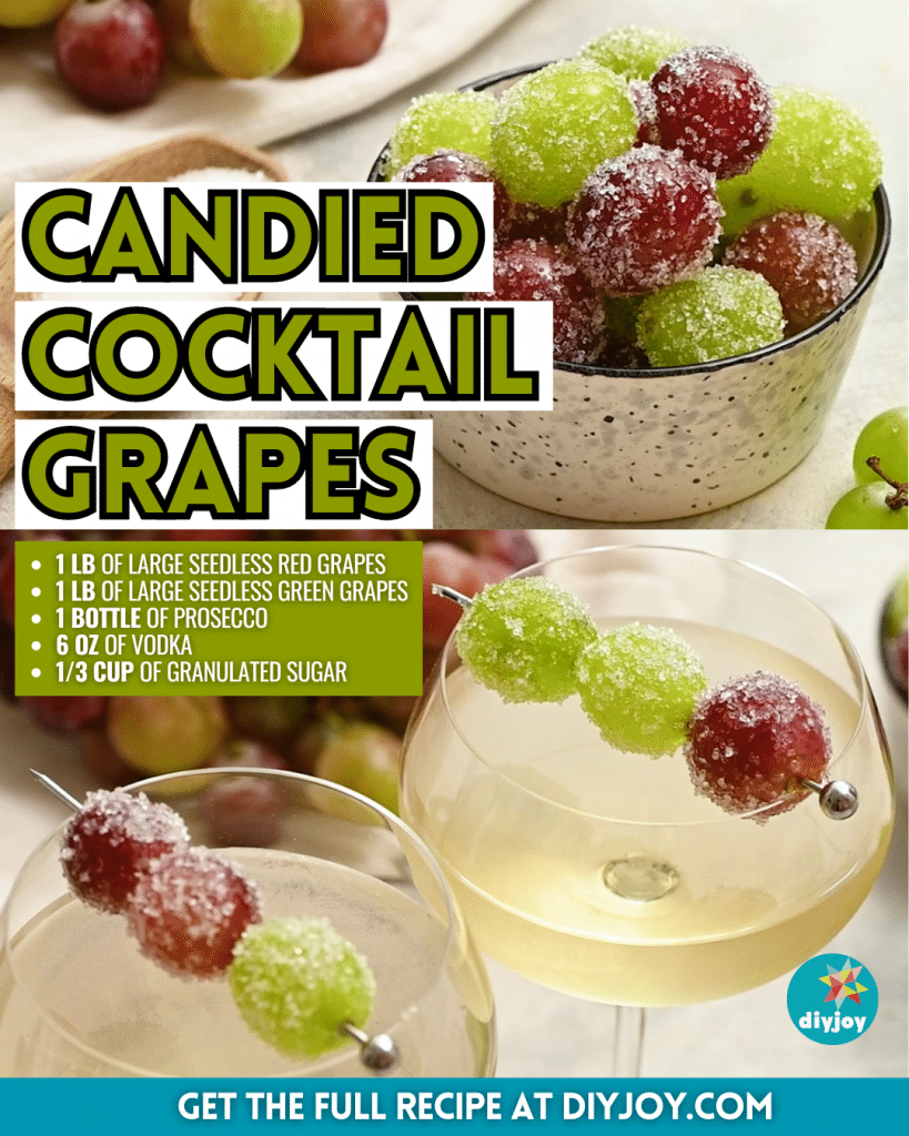 Easy Candied Cocktail Grapes Recipe - DIY Joy