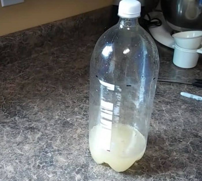 DIY Yellow Jacket Trap (Cheap and Easy) - DIY Joy