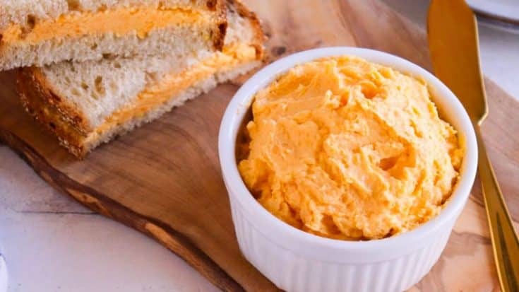 Easy Homemade Cheese Spread Recipe - DIY Joy