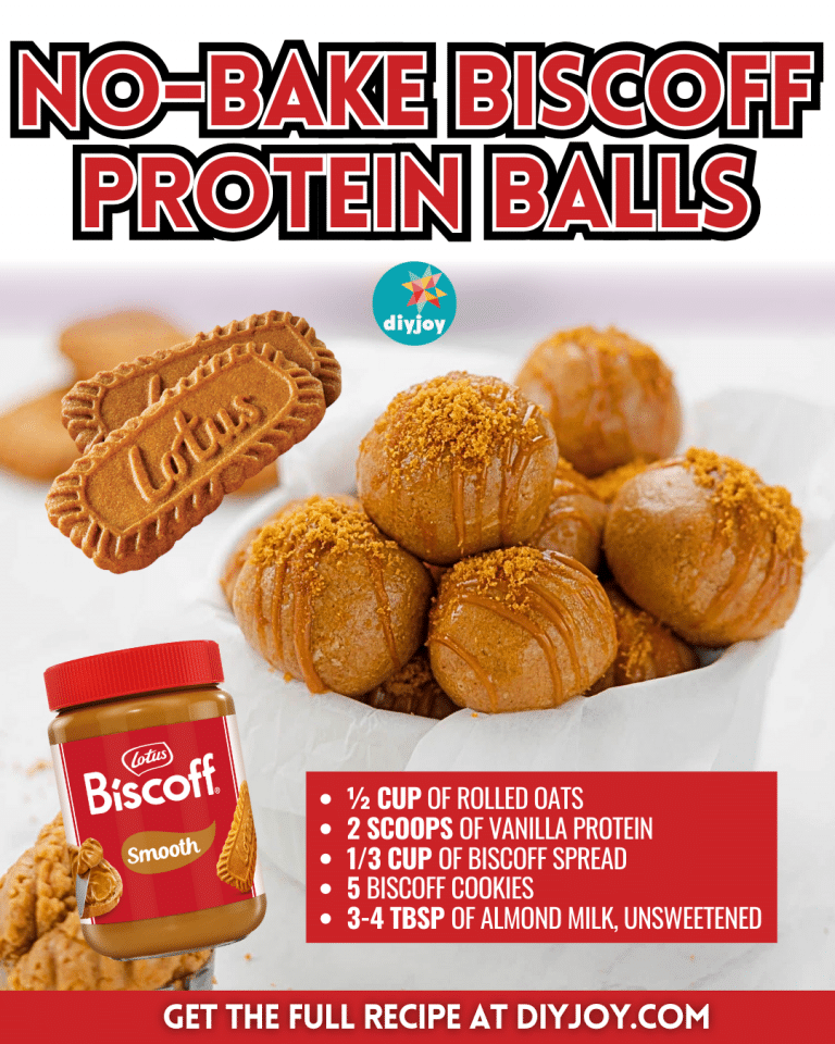 Easy No-Bake Biscoff Protein Balls Recipe - DIY Joy
