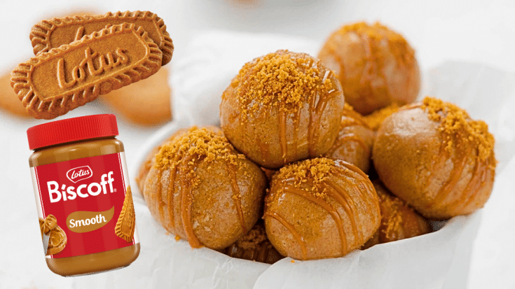 Easy No-Bake Biscoff Protein Balls Recipe - DIY Joy