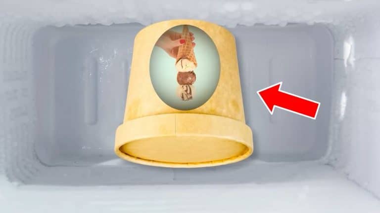 You've Probably Been Storing Ice Cream The Wrong Way - DIY Joy