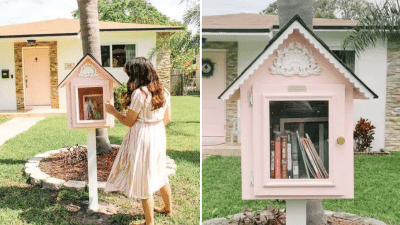 How to Build a Free Little Library - DIY Joy