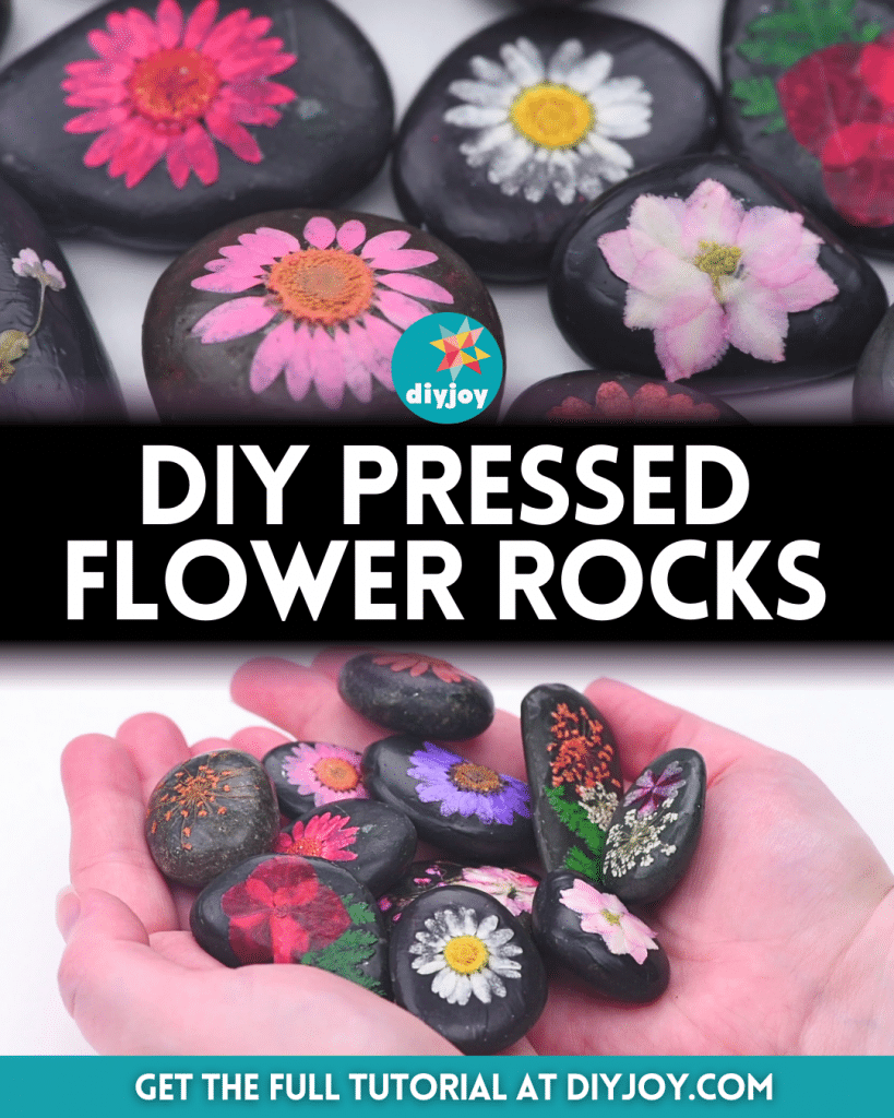 Easy DIY Pressed Flower Rocks - DIY Joy