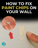 How to Fix Paint Chips on Your Wall
