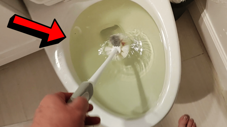 How to Unclog a Toilet Without a Plunger - DIY Joy