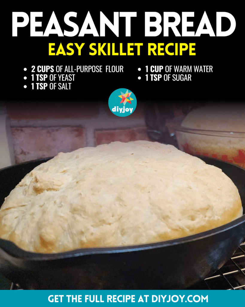 5-Ingredient Peasant Bread Recipe - DIY Joy
