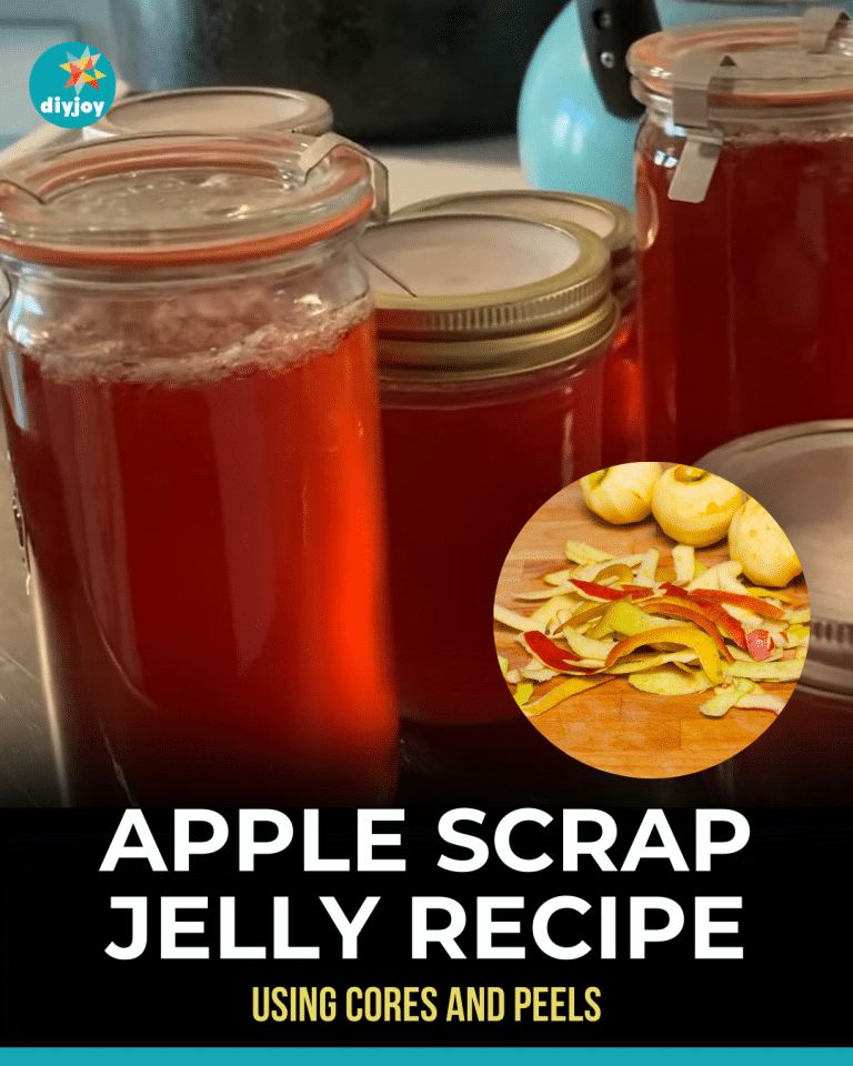 Apple Scrap Jelly Using Cores and Peels