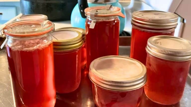 Apple Scrap Jelly Using Cores and Peels - DIY Joy
