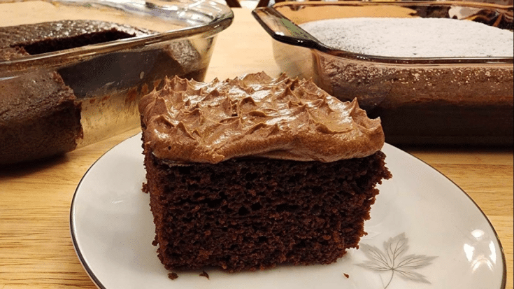 Easy Chocolate Depression Cake Recipe - DIY Joy