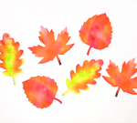 Easy DIY Coffee Filter Fall Leaves - DIY Joy