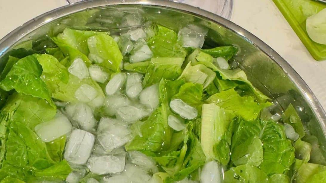 Restaurant Secret to Crisping Limp Lettuce - DIY Joy