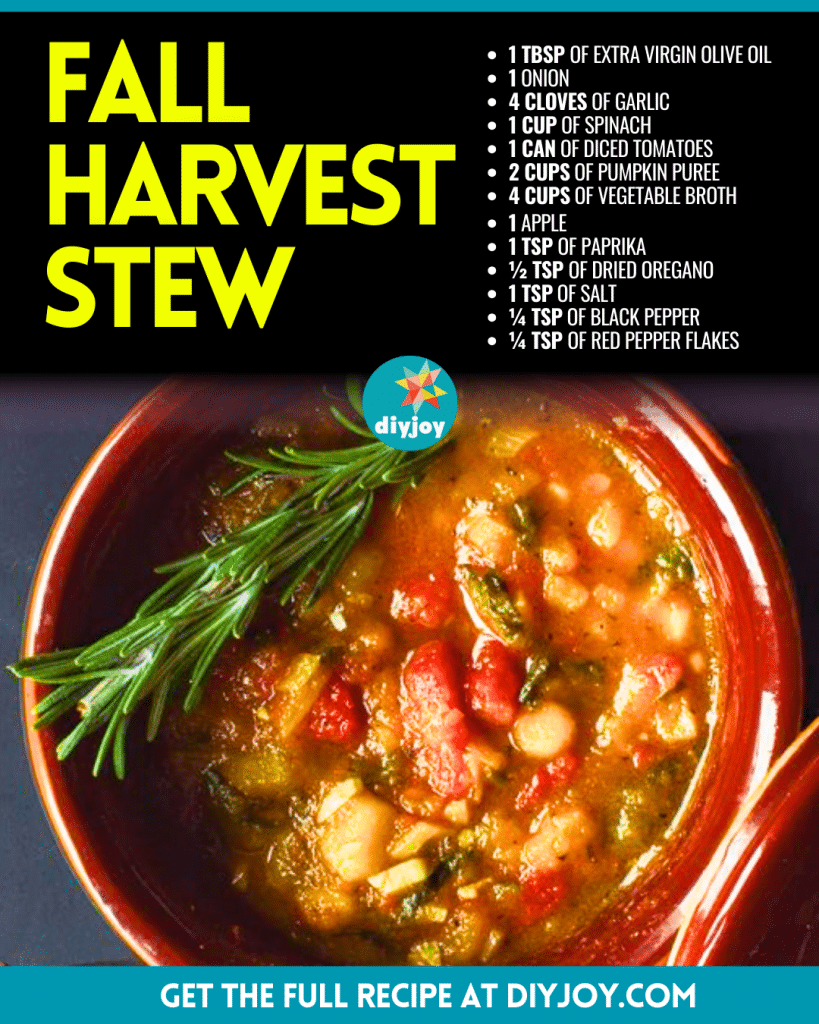 Easy Fall Harvest Stew Recipe - DIY Joy