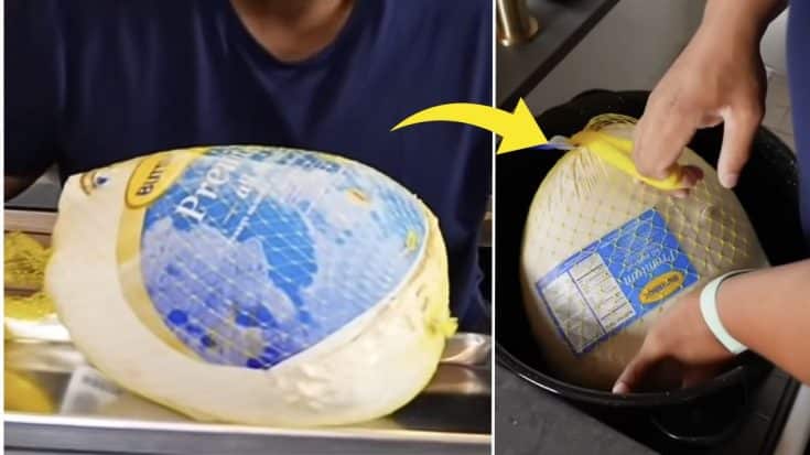 How to Quickly Defrost a Turkey - DIY Joy