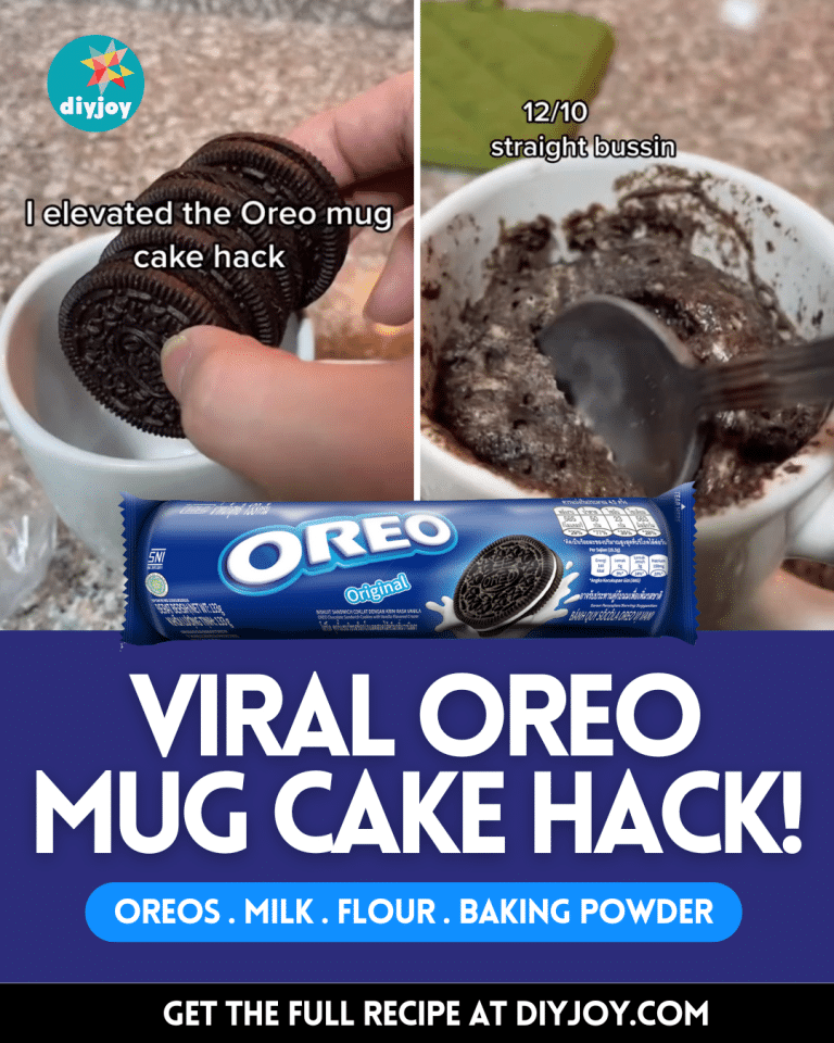 Viral Oreo Mug Cake Hack! - DIY Joy