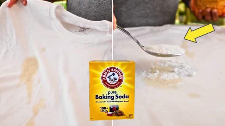 How to Get Rid of Grease Stains - DIY Joy