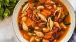 One-Pot Minestrone Soup - DIY Joy
