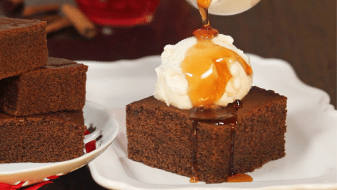 The Best Gingerbread Cake Recipe - DIY Joy