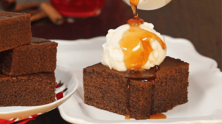 The Best Gingerbread Cake Recipe - DIY Joy